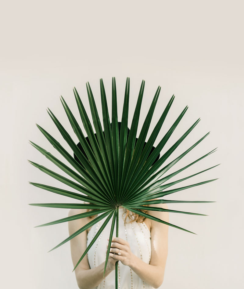 Home - rosetransformations.com